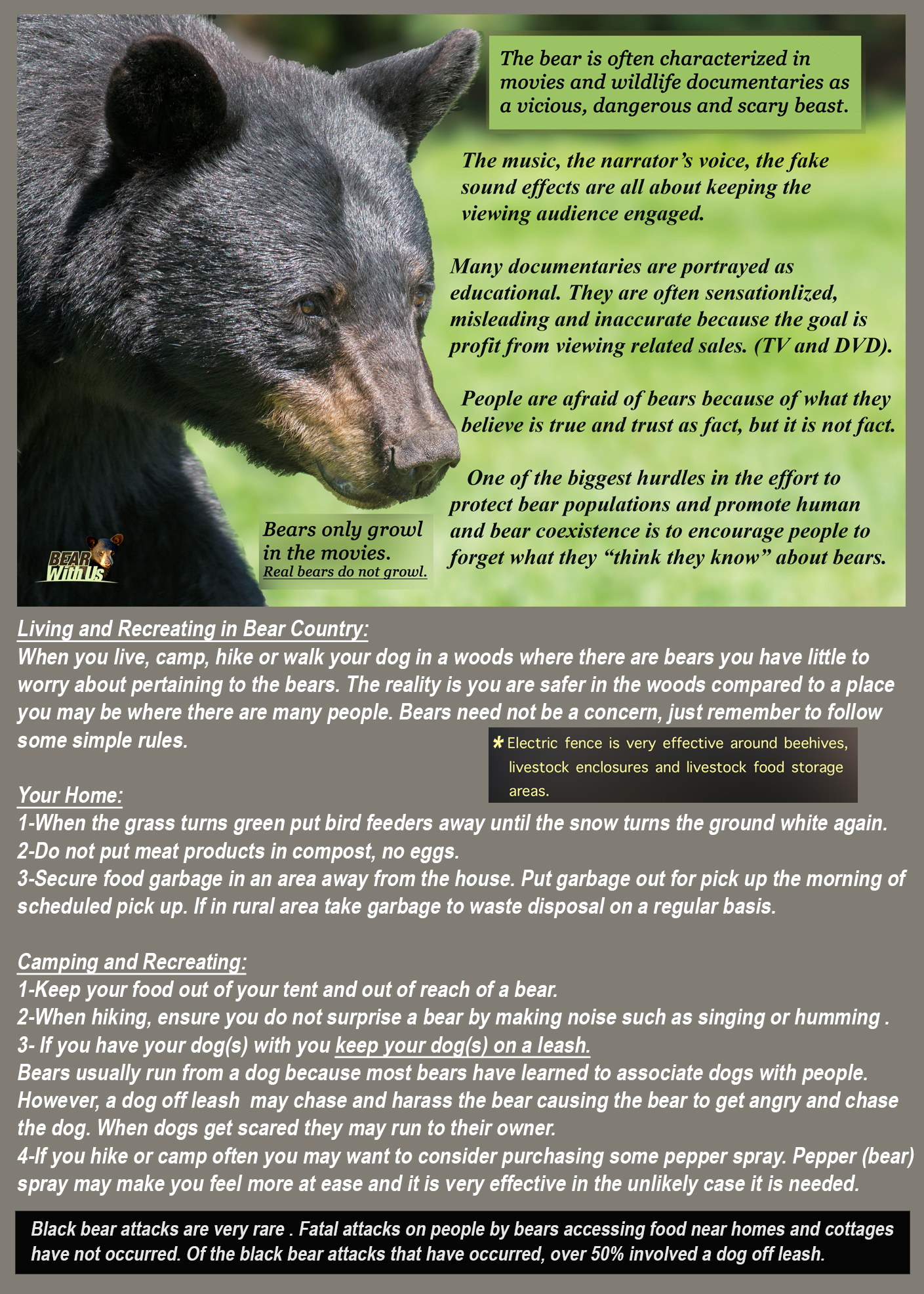 Understanding the Black Bear | Bear With Us