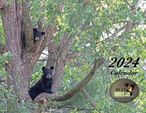 Calendars, Cards & Books | Bear With Us
